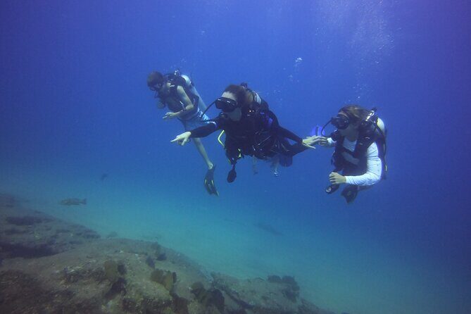 Private Dive Boat for Certified Divers - Cabo San Lucas - Why This Tour Offers Great Value