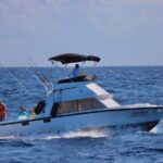Private fishing charter Bertram 31ft 6 pax max if you don't fish you don't pay - Final Thoughts: Is It Worth It?