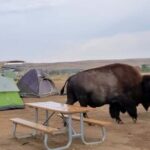 Private - JEEP Badlands Backcountry (Sage Creek/Sheep Mtn/Scenic) - Practical Tips and Considerations