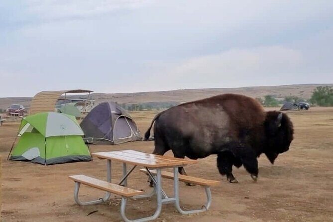 Private - JEEP Badlands Backcountry (Sage Creek/Sheep Mtn/Scenic) - Practical Tips and Considerations