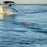 Private ONLY Dolphin Boat Tours - The Experience: What to Expect from Start to Finish