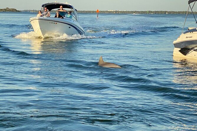 Private ONLY Dolphin Boat Tours - The Experience: What to Expect from Start to Finish