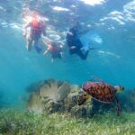 Private (only you) Reef Snorkeling in Puerto Morelos 2x40 minutes - The Value and Cost: How Does It Measure Up?