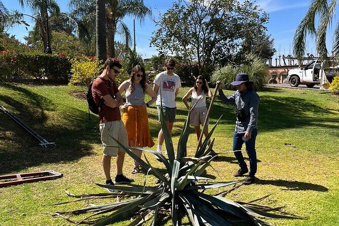 Private Tequila Tour with Local Expert - Practical Aspects: Timing, Transport, and Cost