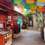 Private Tour: 5-Hour Cozumel Sightseeing with Private Driver and Tequila Tasting - Who Will Love This Tour?