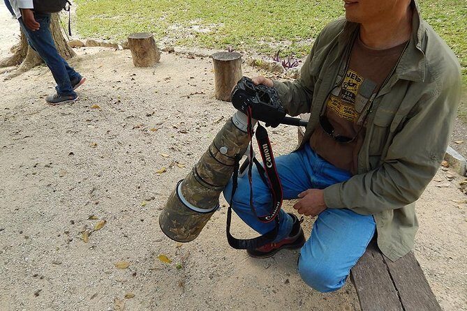 Private Tour: Birdwatching from Cancun - An In-Depth Look at the Experience