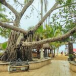 Private Tour, Sayulita & San Pancho - Practical Details and Value