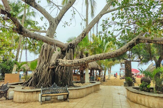 Private Tour, Sayulita & San Pancho - Practical Details and Value