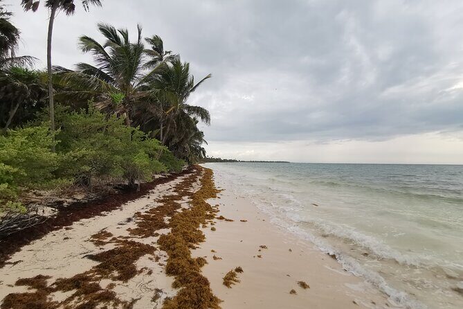 Private Transfer-Cancun Airport-Playa del Carmen One Way - What You Can Expect During Your Transfer