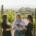 Private Wine Tour by Ansell Tours - Authentic Experiences and Insider Tips