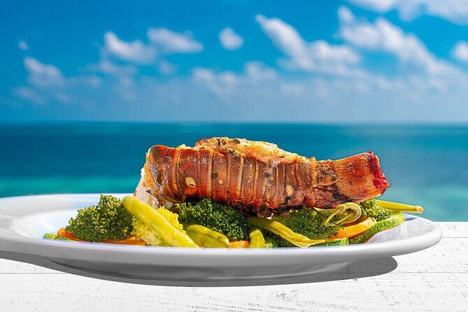 Puerto Morelos Reef Snorkeling Tour with Lunch & Hotel Pickup - The Value of the Experience