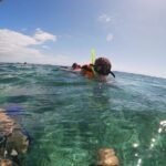 Reef Snorkel In National Park In Puerto Morelos With Lunch And Transportation - Transportation and Logistics: How It Works