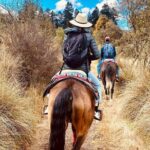 Ride Ajusco mountain trails & enjoy a ranch barbecue - What Makes This Tour Stand Out?