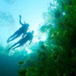 Sacred Adventure at Xenotes! 4 Different Cenotes + Round Transportation - The First Stop: Quintana Roo Puerto Morelos - Leona Vicario