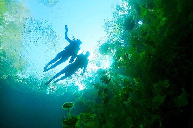 Sacred Adventure at Xenotes! 4 Different Cenotes + Round Transportation - The First Stop: Quintana Roo Puerto Morelos - Leona Vicario
