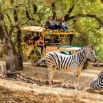 Safari West Sonoma Adventure Tour - Frequently Asked Questions