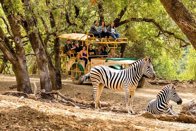 Safari West Sonoma Adventure Tour - Frequently Asked Questions