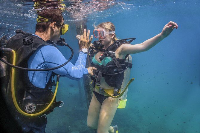 Scuba Diving with a 5-Star PADI Center in Puerto Vallarta - The Sum Up: Is This Tour Worth It?