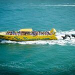 Sea Screamer Clearwater's Only Speed Boat Dolphin Watching - Who Will Love This Tour?