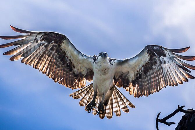 Sian Ka'an Adventure Full Day Trip to Punta Allen - A Deep Dive into the Experience