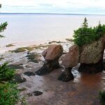 Small Group Tour - Peggy's Cove, Lunenburg, the Annapolis Valley - Transportation, Group Size, and Timing