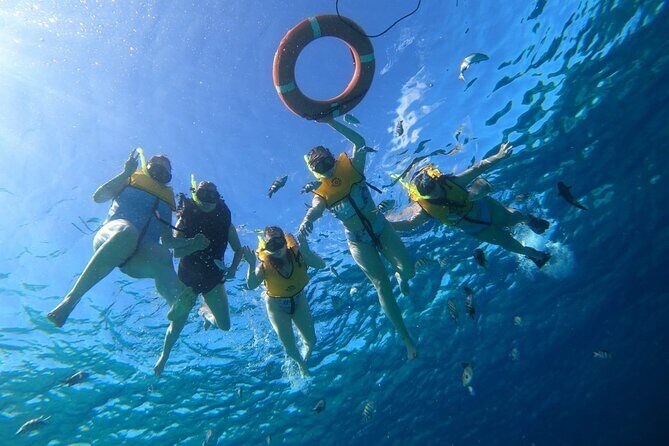 Snorkel along the coast, explore two reefs by Chivis del Mar - Why This Snorkel Tour Stands Out