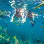 Snorkel and arch tour in los cabos - What’s Included and What’s Not