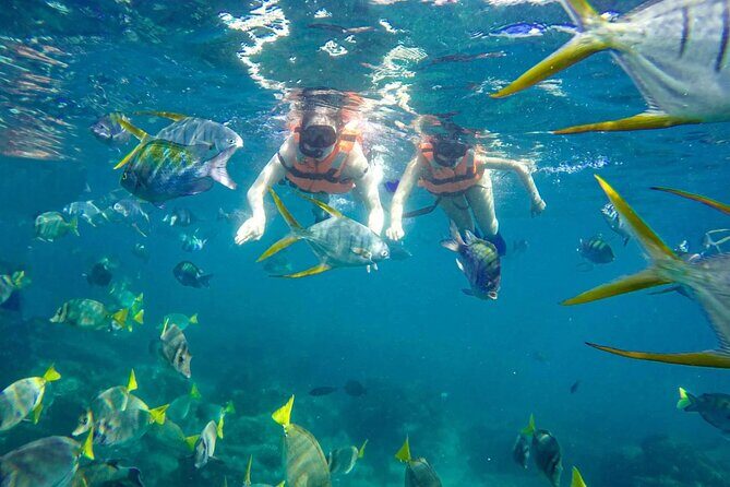 Snorkel and arch tour in los cabos - What’s Included and What’s Not
