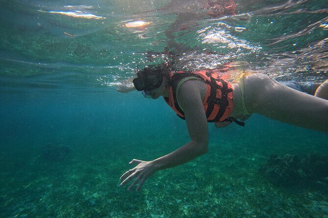 Snorkel at the Reef 2 HOURS Puerto Morelos National park - Who Should Book This Tour?
