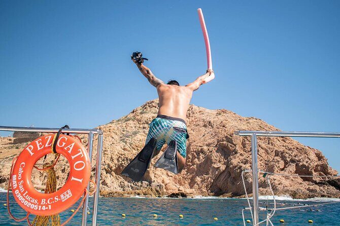 Snorkel Cruise in Los Cabos - The Sum Up