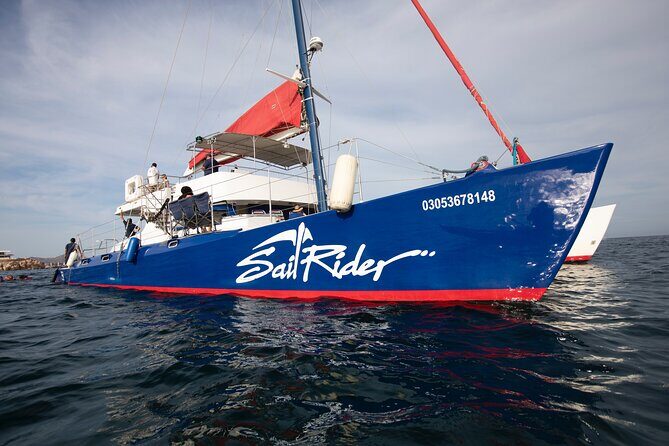 Snorkel, Lunch & Sail in Cabo San Lucas - What We Appreciated About This Tour