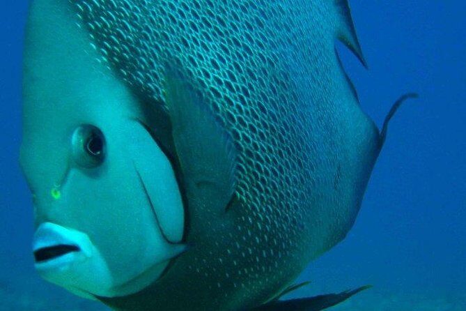 Snorkeling with Caribbean fish and private cenote exploration - Final Thoughts