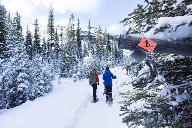 Snowshoeing in Kananaskis - The Experience of Snowshoeing with Kananaskis Outfitters