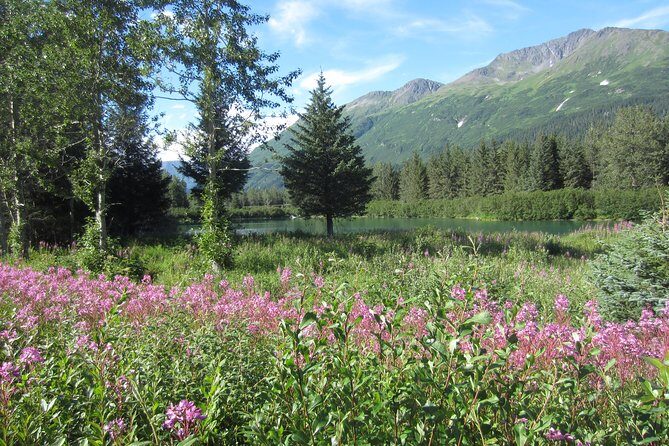 Stunning Turnagain Arm Tour: "A Must See Destination" - What Travelers Really Say