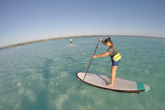 Sunrise Tour (Stand Up Paddle or Kayak) - Comfort and Convenience