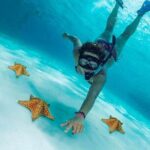 The Best Cozumel Snorkeling Tour Palancar, Colombia and El Cielo Reefs - How the Tour Plays Out