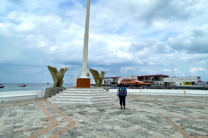 The Cozumel Turtle Sanctuary Snorkel Tour - What to Expect in Terms of Experience