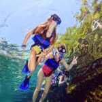 Tulum and Xel-Há All-Inclusive 1-day Guided Tour - Possible Drawbacks & Considerations