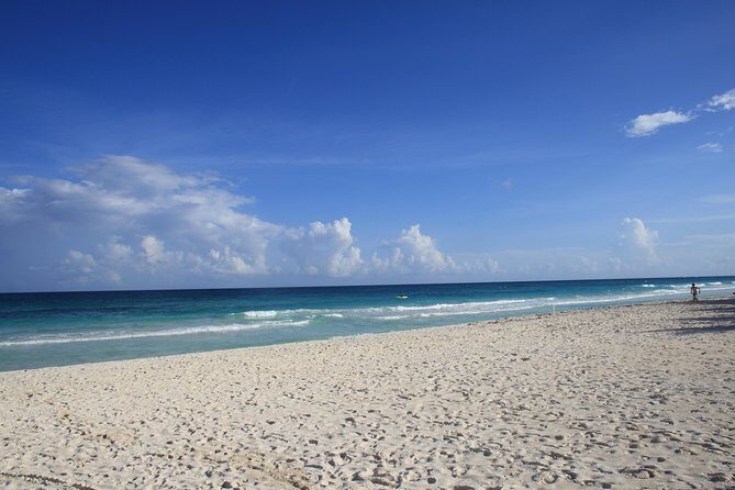 TULUM, CENOTE, MYSTIKA MUSEUM, TURTLES SNORKELING (Private) - Authentic Insights from Reviewers