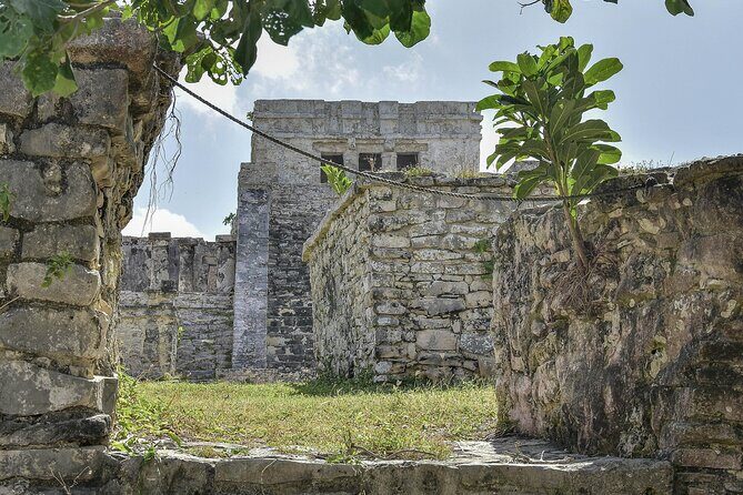 Tulum Ruins, Turtles in Akumal and Cenote tour - What’s included and what’s not?