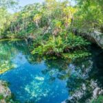 Turtle Encounter Private Tour  Swim with Sea Turtles & Cenote - What Makes This Tour Stand Out?
