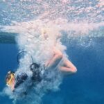 Two Reefs For Certified Divers in Cancun - Marine Life and Reef Highlights