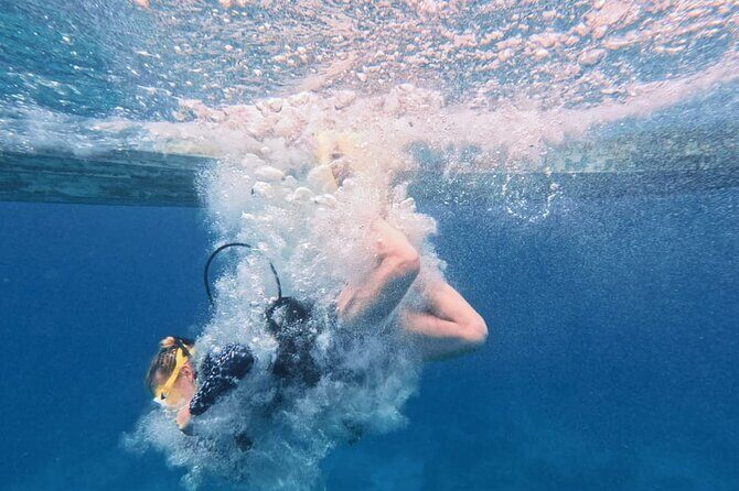 Two Reefs For Certified Divers in Cancun - Marine Life and Reef Highlights