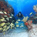 Two Tanks Scuba Diving for Beginners in Cancun - What Travelers Love About This Experience