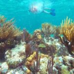 Ultimate 5x1 Combo with ATV, Ziplines, Cenote & Reef Snorkeling - Who Would Love This Tour?