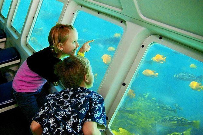 Undersea Expedition: Catalina Island Tour - Who Will Love This Tour?