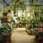 Vallarta Botanical Garden and Tequila Tasting from Puerto Vallarta - The Sum Up