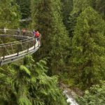 Vancouver City Sightseeing Tour: Capilano Suspension Bridge & Vancouver Lookout - An In-Depth Look at the Tour