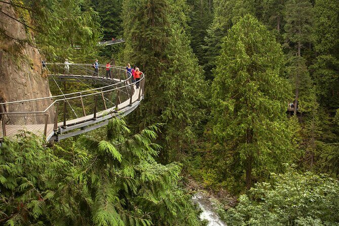 Vancouver City Sightseeing Tour: Capilano Suspension Bridge & Vancouver Lookout - An In-Depth Look at the Tour