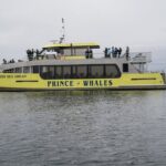 Vancouver Half-Day Whale Watching Adventure with Free Photos - Value for Money: What You Get
